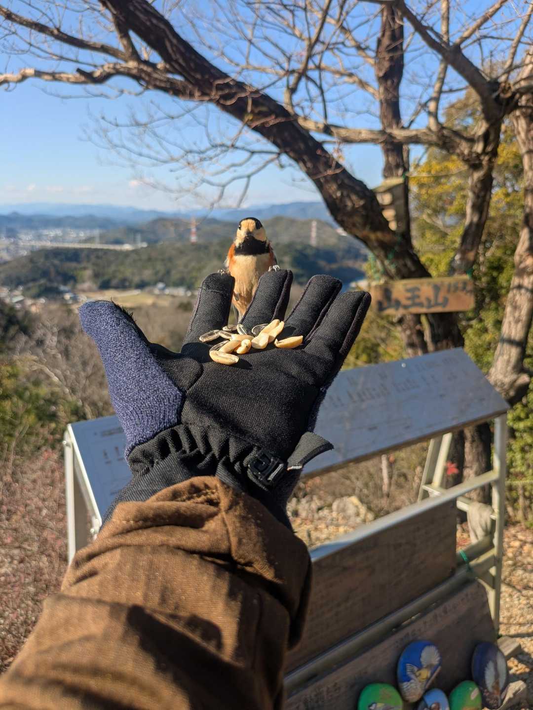 山王山・まるまる山・松尾山 / iwaakiさんの山王山・まるまる山・松尾山の活動データ | YAMAP / ヤマップ