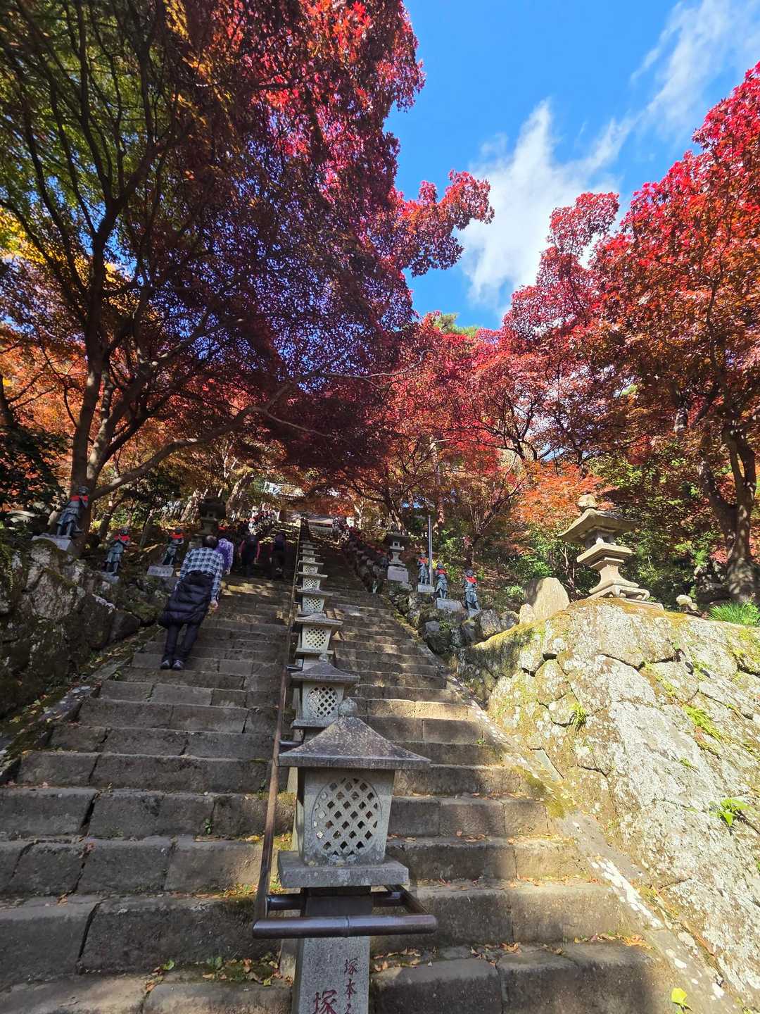 大山 / Pepper さんの大山の活動データ | YAMAP / ヤマップ