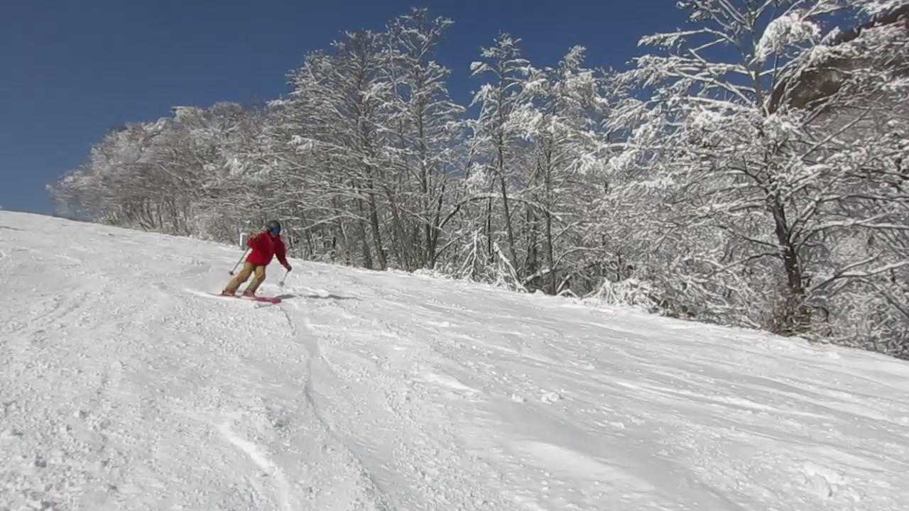 栂池高原① / chamokichiさんの白馬岳・小蓮華山の活動データ | YAMAP / ヤマップ