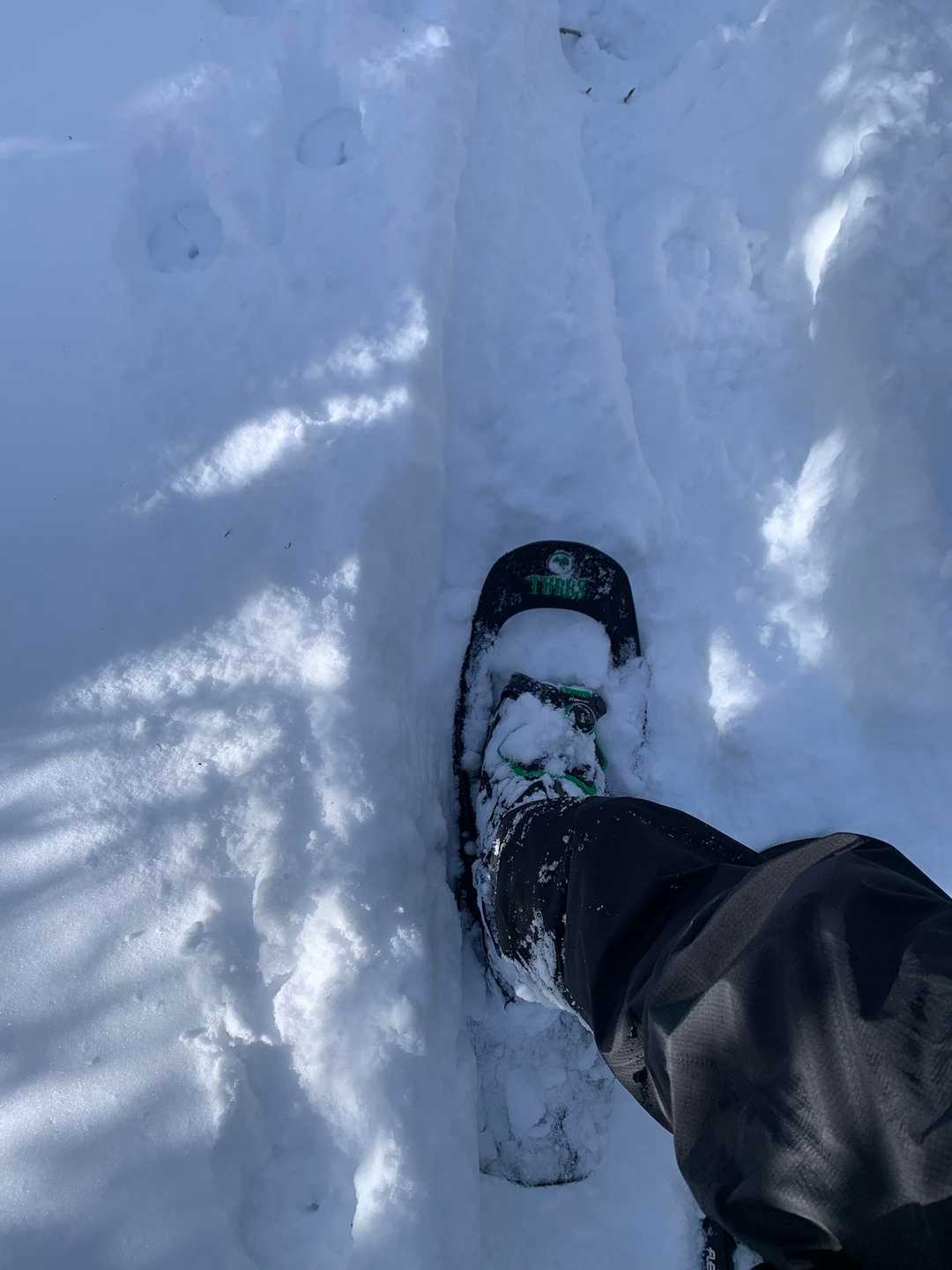 スノーシューやってみた / やっぴーさんの乗鞍岳の活動データ | YAMAP / ヤマップ