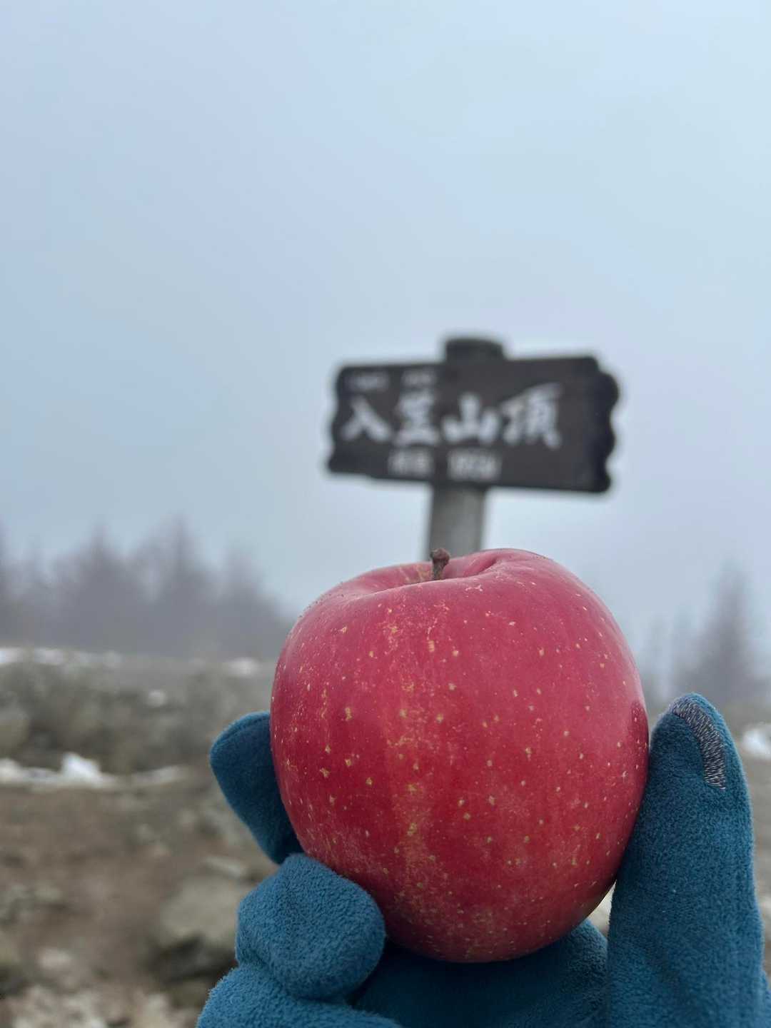 入笠山 ️まあまあ前です⚠️ / カピバラさんの入笠山の活動データ | YAMAP / ヤマップ
