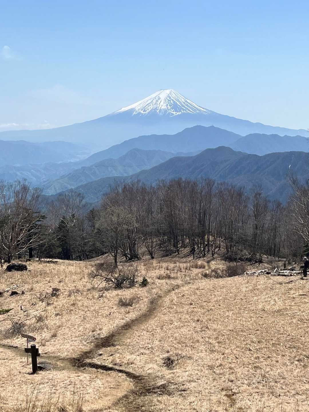 姥子山（西峰）・姥子山（東峰）・雁ヶ腹摺山・大垈山・セーメーバン・笹平 / T.sunadaさんの雁ヶ腹摺山・岩殿山の活動データ ...