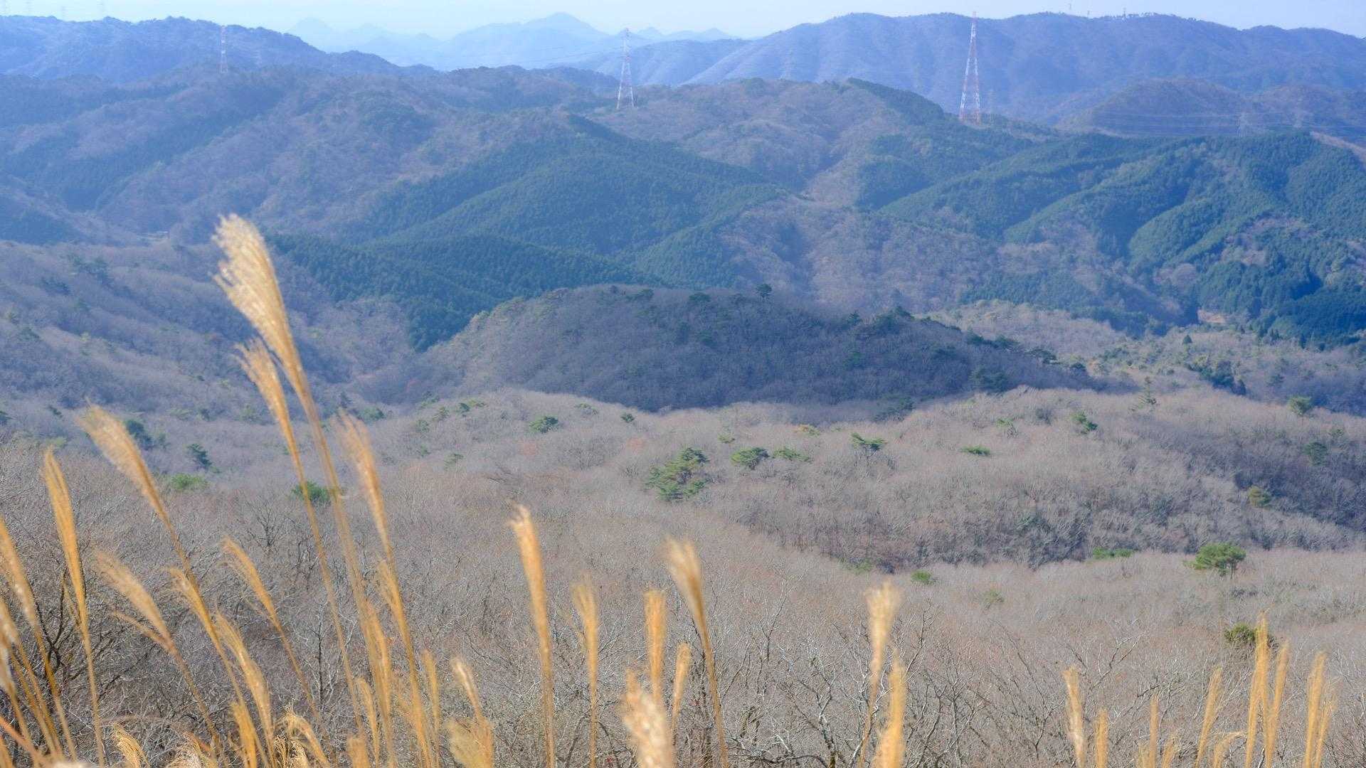 深山・興山・掃雲峰 / リンさんの深山・掃雲峰の活動データ | YAMAP / ヤマップ