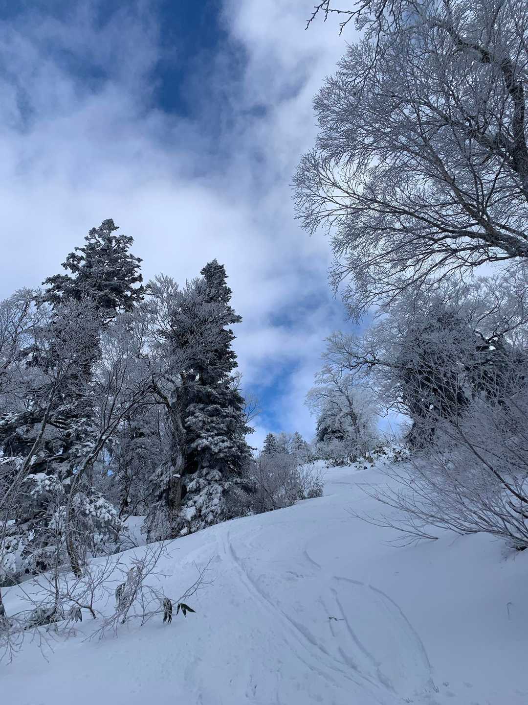 田茂萢岳BC、初めて山頂公園駅までハイクアップ！ / ZAKUさんの八甲田山・高田大岳・雛岳の活動データ | YAMAP / ヤマップ