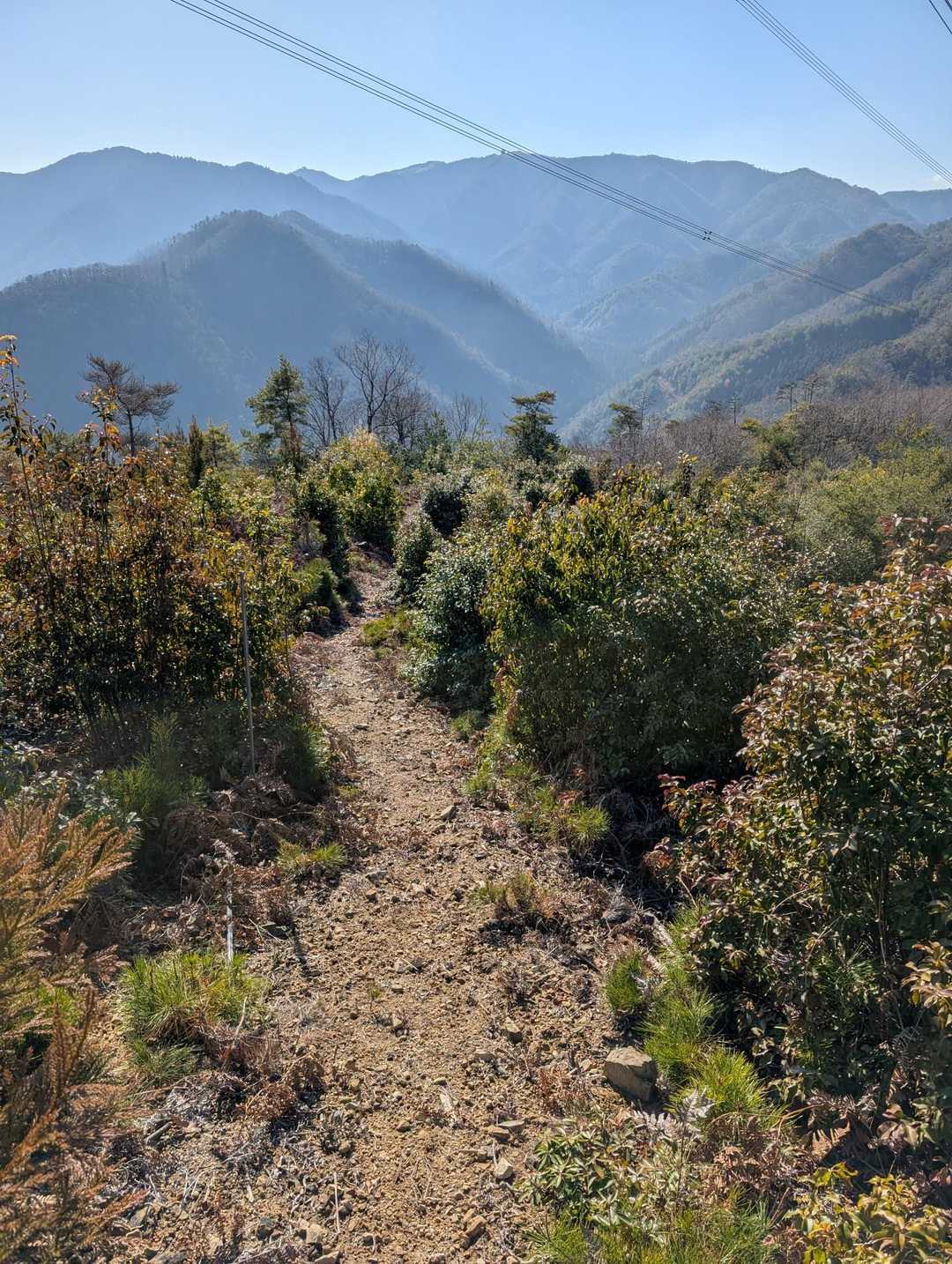 岩坂山 / マッサンさんの御嶽（三嶽）・小金ヶ嶽・西ヶ嶽の活動データ | YAMAP / ヤマップ