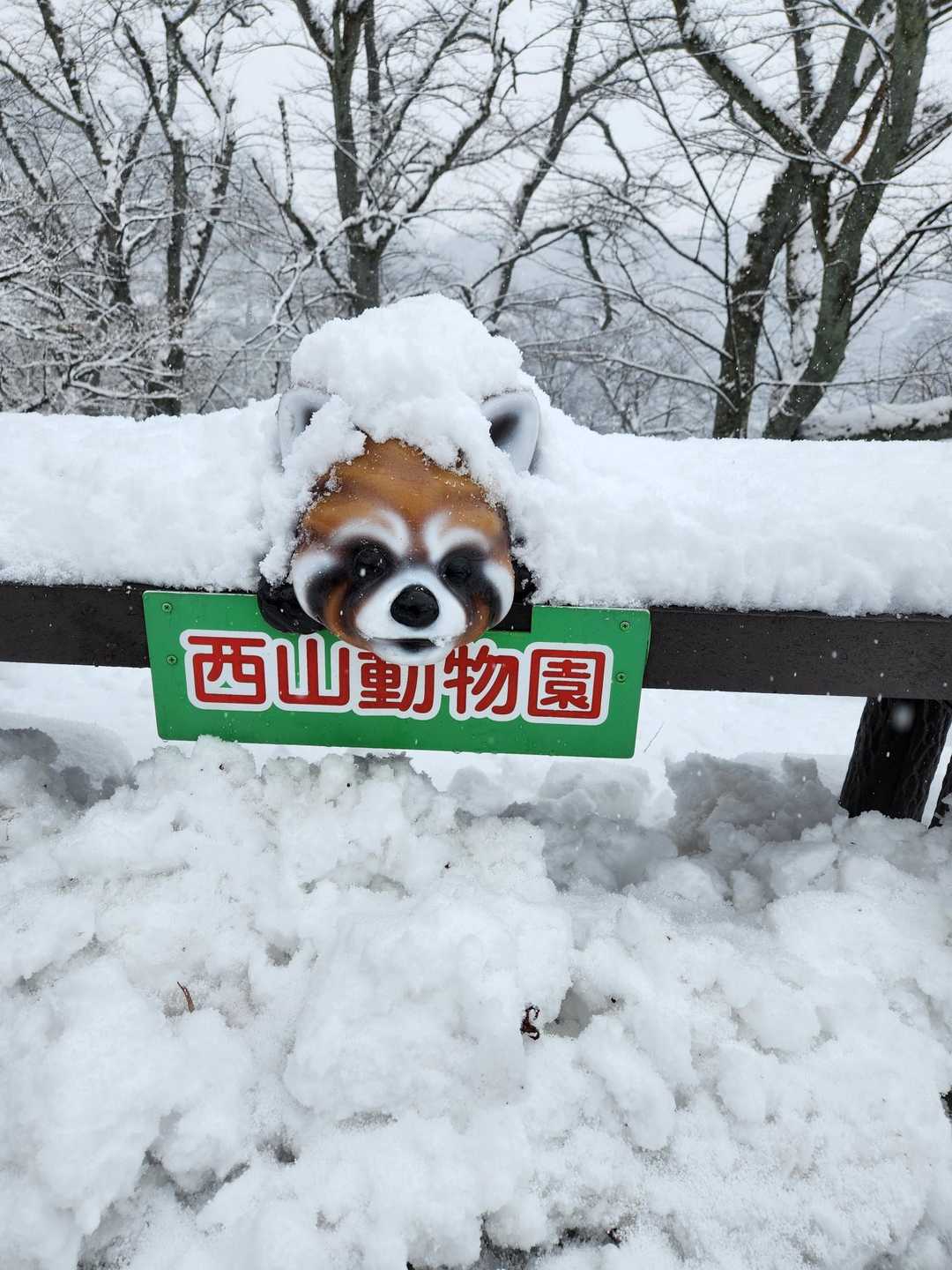 今年初⭐長泉寺山 / obamaさんの長泉寺山の活動データ | YAMAP / ヤマップ