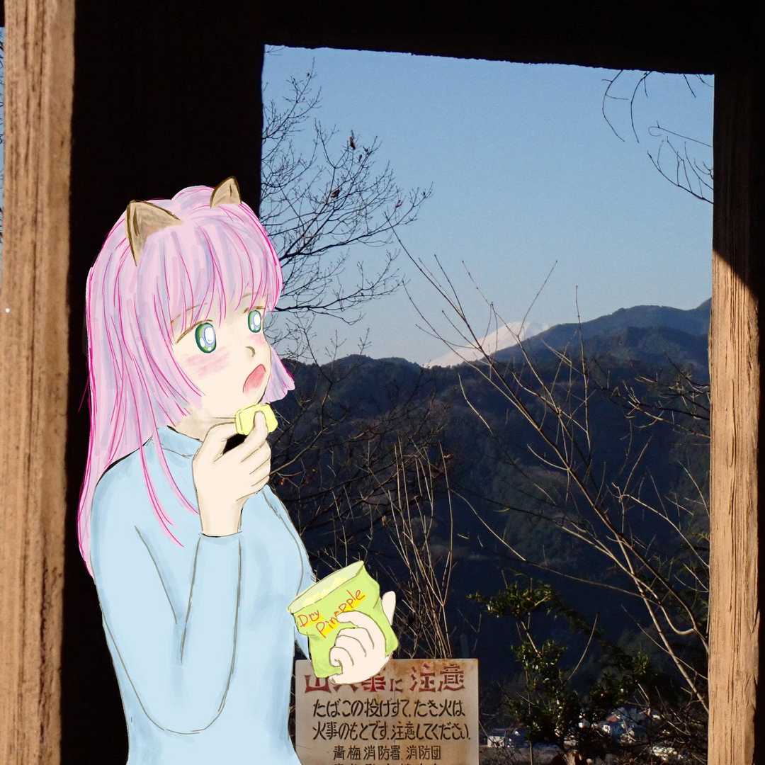 【2025 登り納め】青梅丘陵ハイキングコース縦走（EN:青梅駅、EX:軍畑駅 矢倉台・三方山・マスガタ山・物見山・辛垣山・雷電山 ...