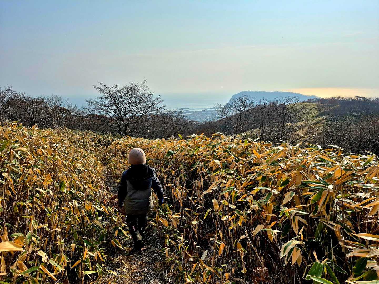 ぼんず山（若草山） / yOshiO さんの測量山・母恋富士の活動データ | YAMAP / ヤマップ