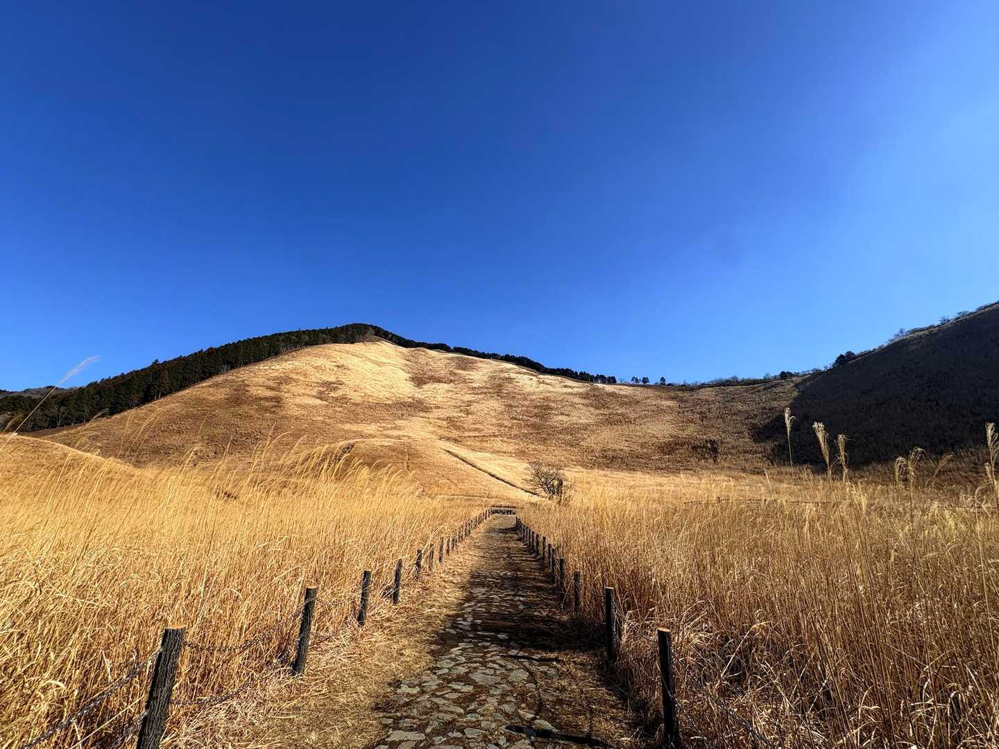 倶留尊山 / まっちゃさんの倶留尊山・曽爾高原・古光山の活動データ | YAMAP / ヤマップ