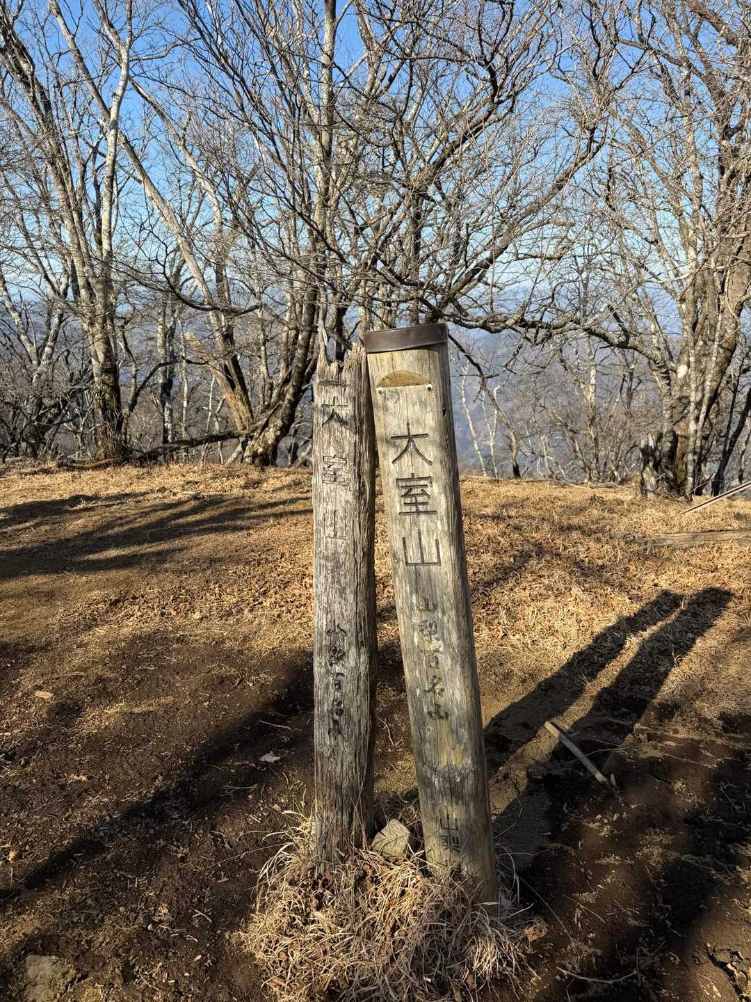 加入道山・大室山（道志の湯から） / まるこすさんの大室山・畦ヶ丸・菰釣山の活動データ | YAMAP / ヤマップ