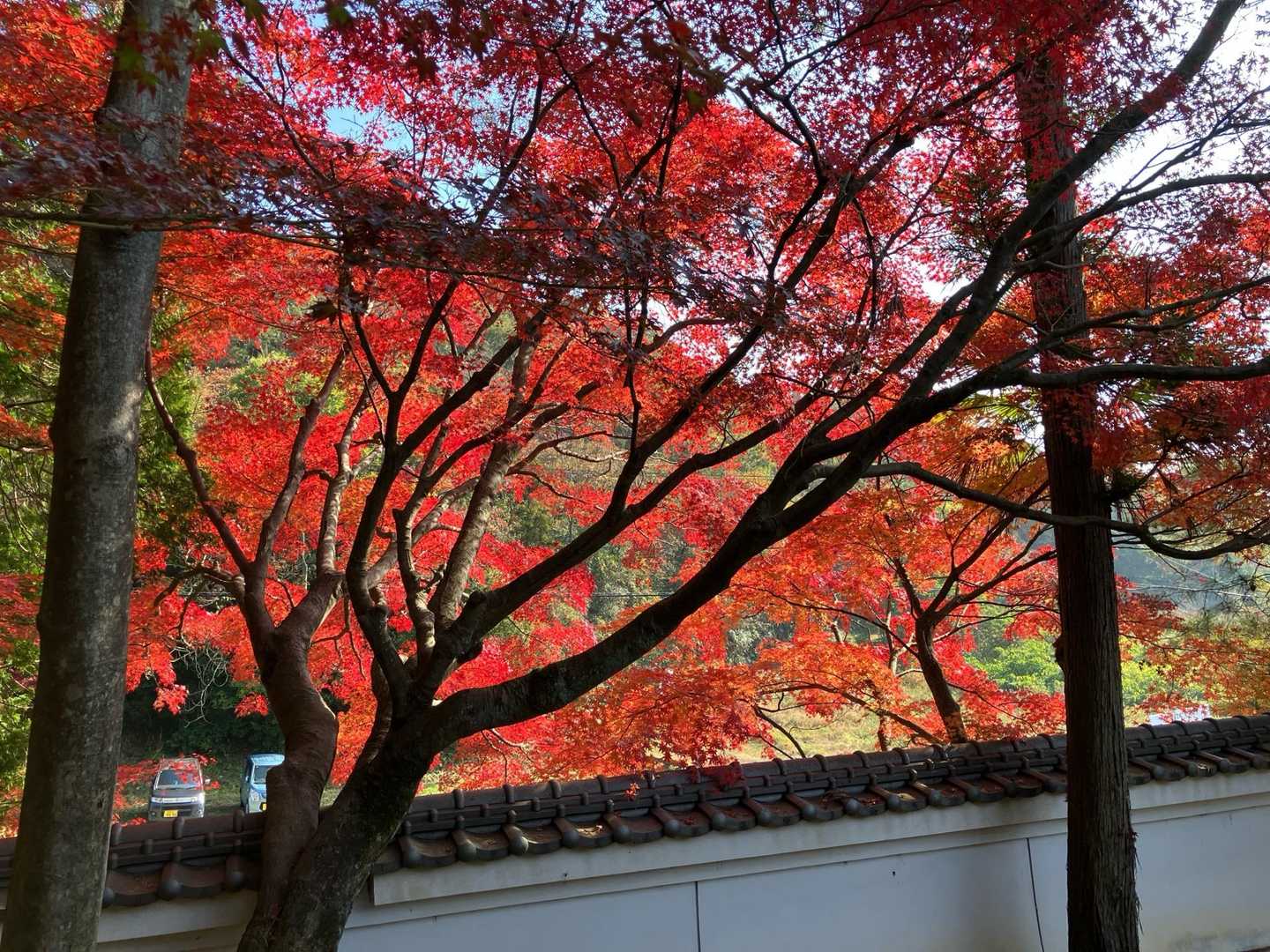 世田山・笠松山東峰・笠松山・永納山(永納山城址) / ぴーたまさんの笠松山の活動データ | YAMAP / ヤマップ