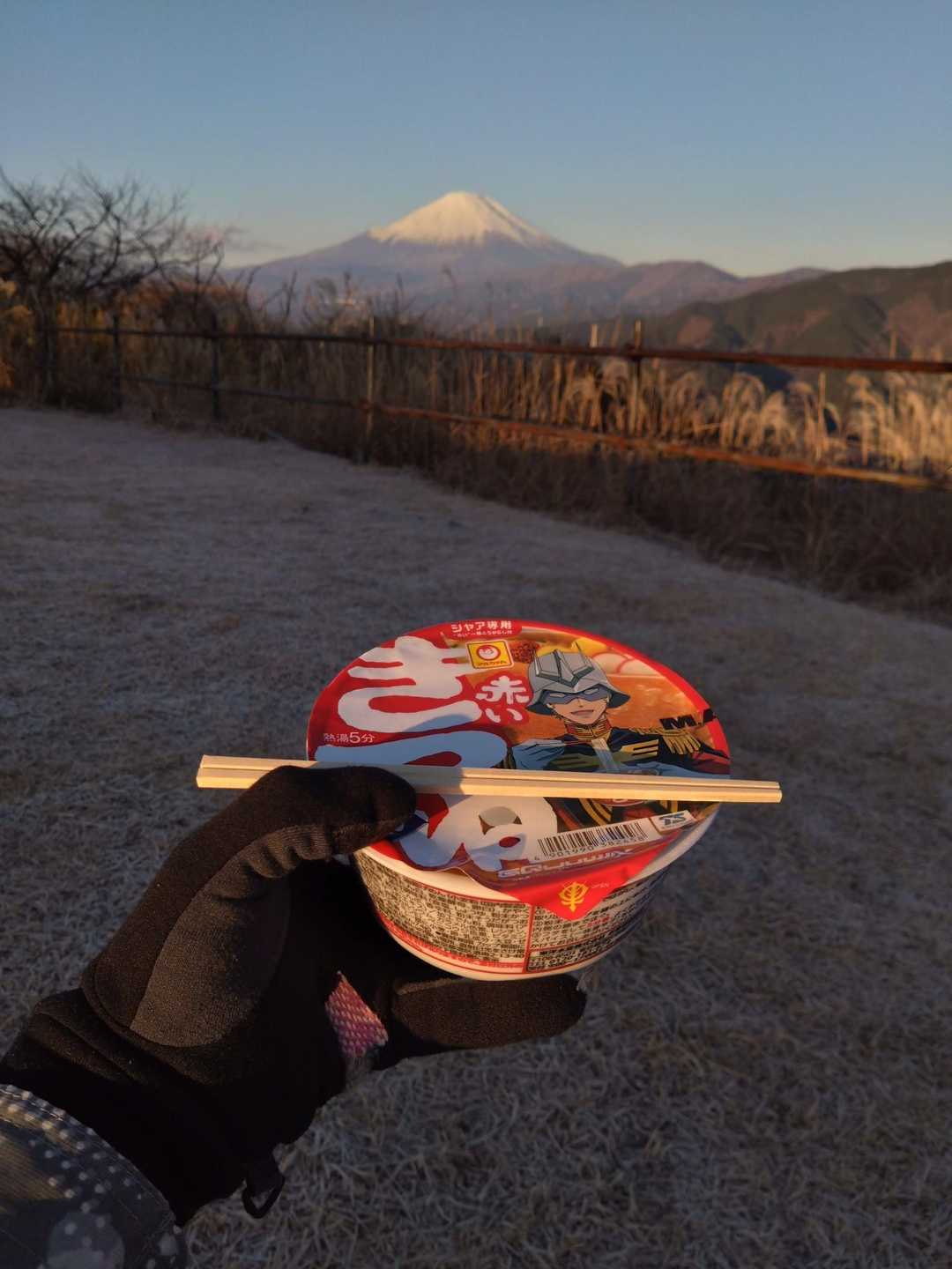 初日は大野山 / 猫山 のぼるさんの高松山・大野山の活動データ | YAMAP / ヤマップ