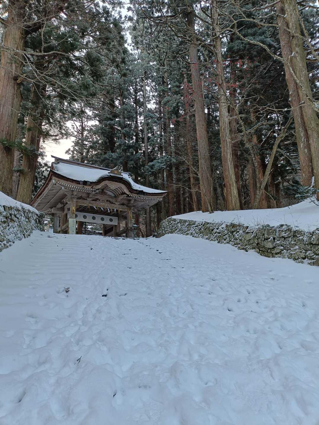 初詣 大神山神社-2026-01-01 / nakaさんの大山・甲ヶ山・野田ヶ山の活動データ | YAMAP / ヤマップ