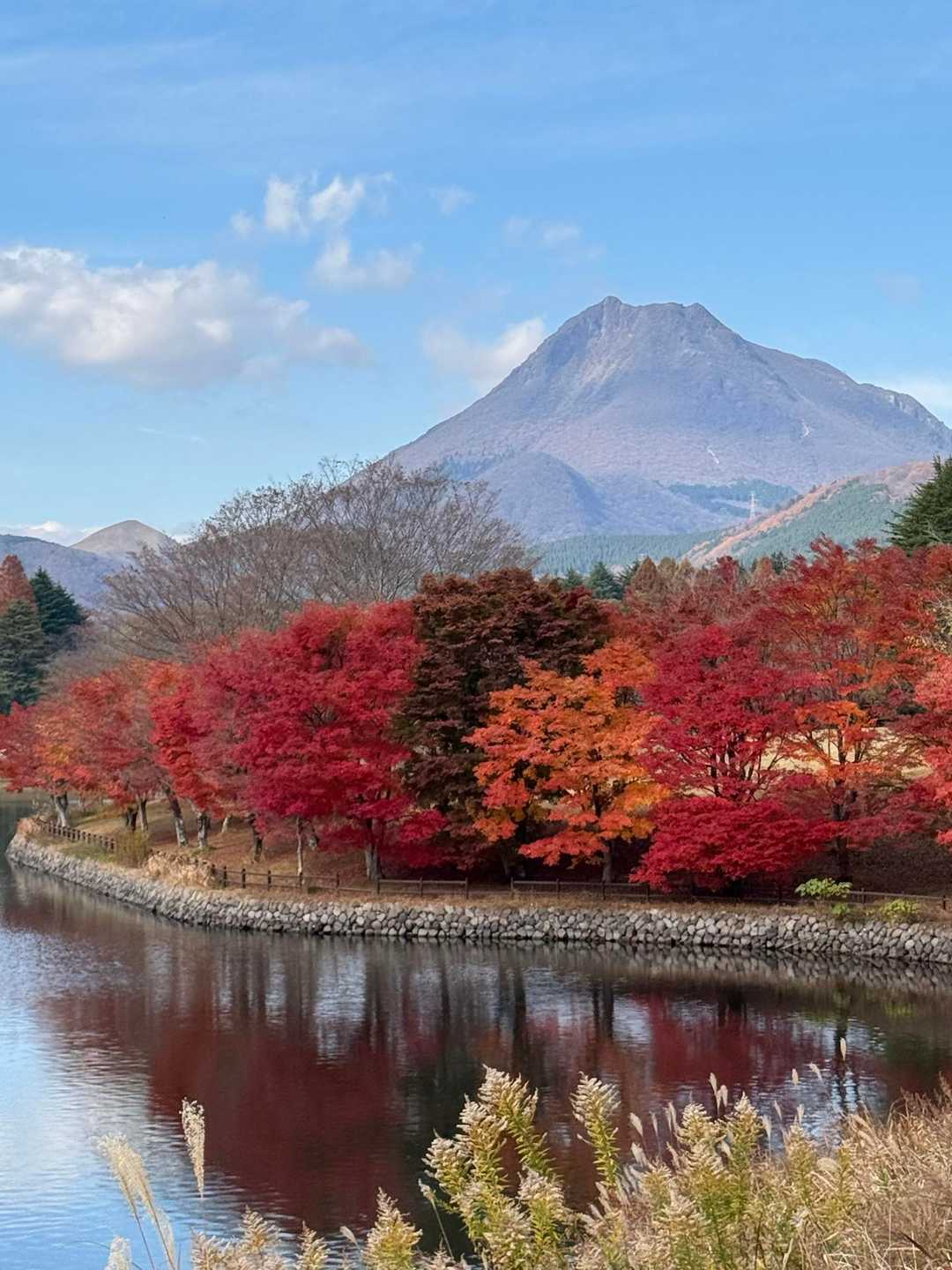 小鹿山 / kiyoさんの由布岳・鶴見岳の活動データ | YAMAP / ヤマップ