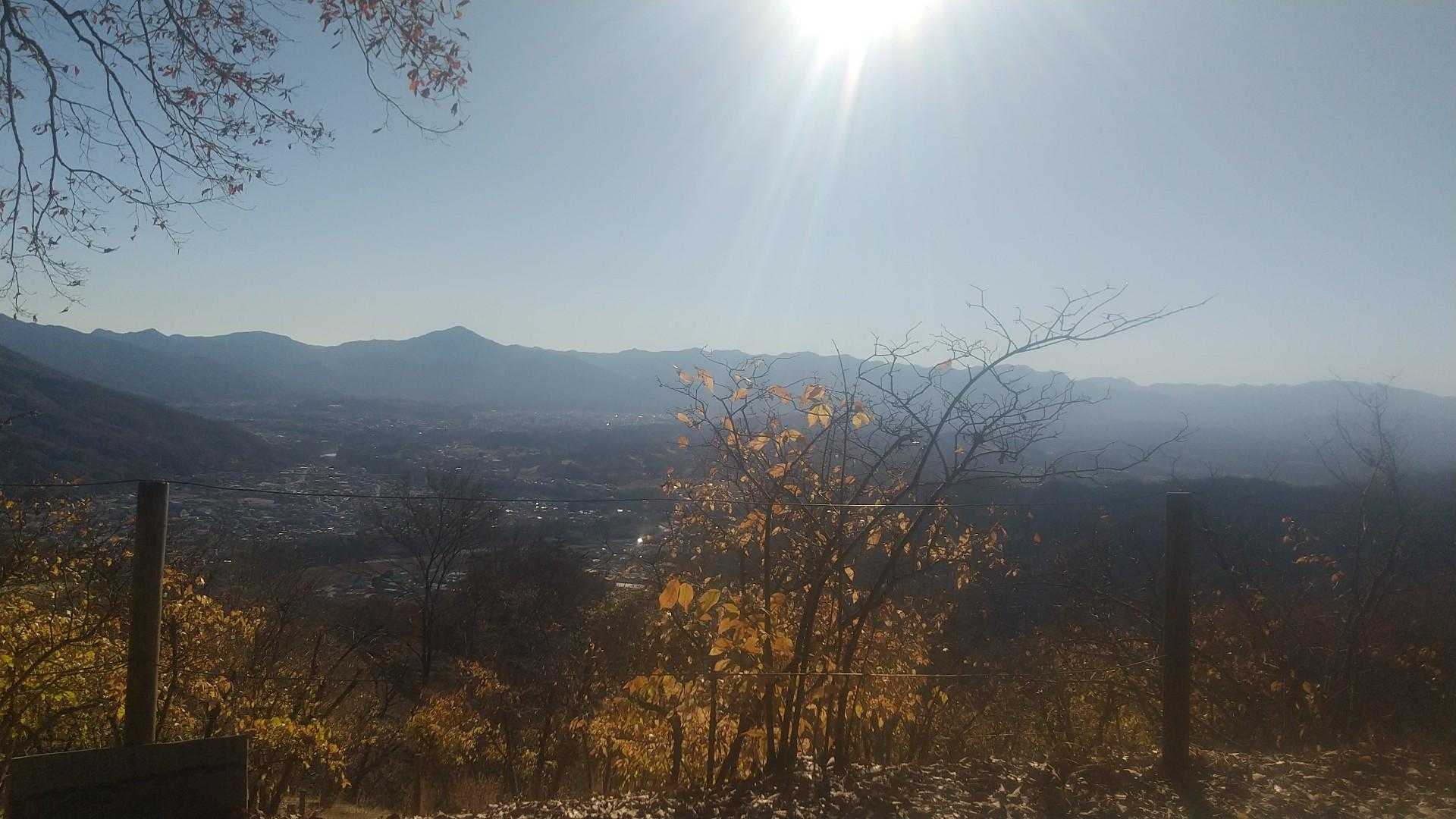 宝登山(野上登山口コース) / ハヤヤッコさんの宝登山・長瀞アルプス・不動山・陣見山・鐘撞堂山の活動データ | YAMAP / ヤマップ