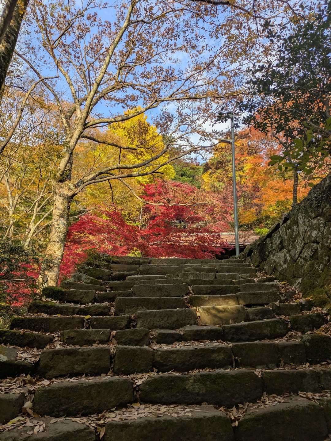 2025.11.27 大山 / まどかさんの大山の活動データ | YAMAP / ヤマップ