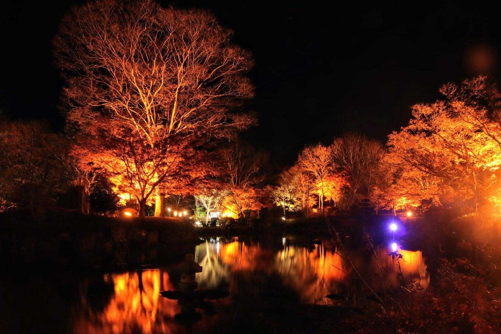 桜山 / マロンくんさんの御荷鉾山・オドケ山・桐ノ城山の活動データ | YAMAP / ヤマップ