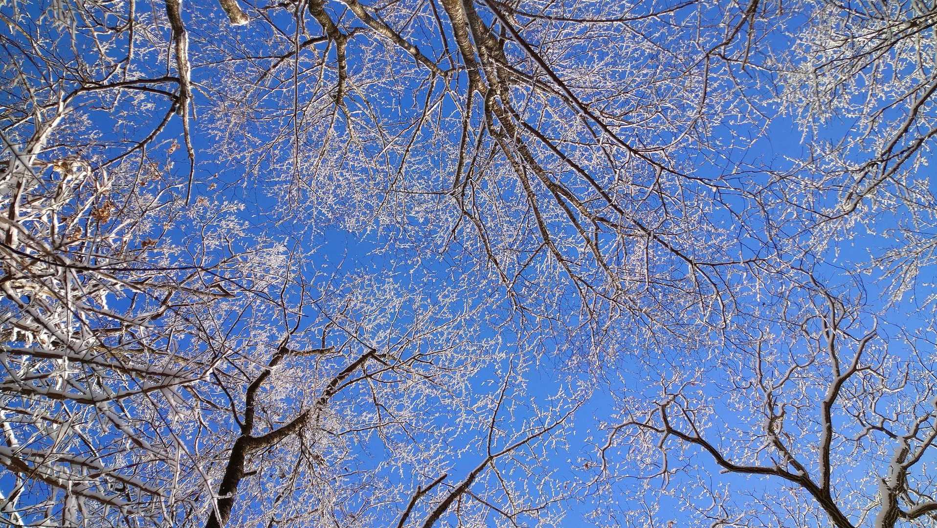 鹿狼山 JA/FS-166 / HIROさんの鹿狼山の活動データ | YAMAP / ヤマップ