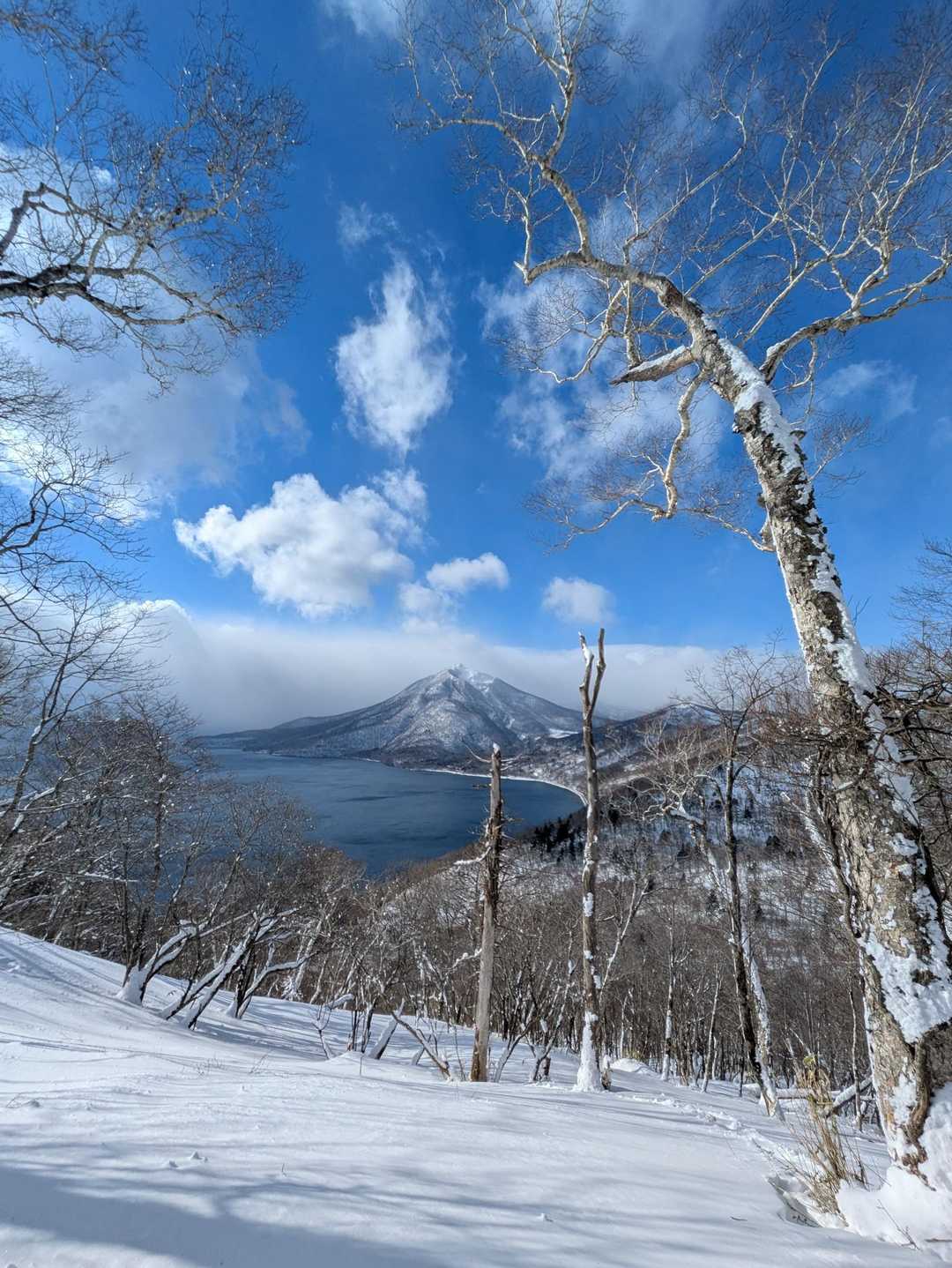 幌下山 2026.1.12 / ふじさんさんの紋別岳の活動データ | YAMAP / ヤマップ