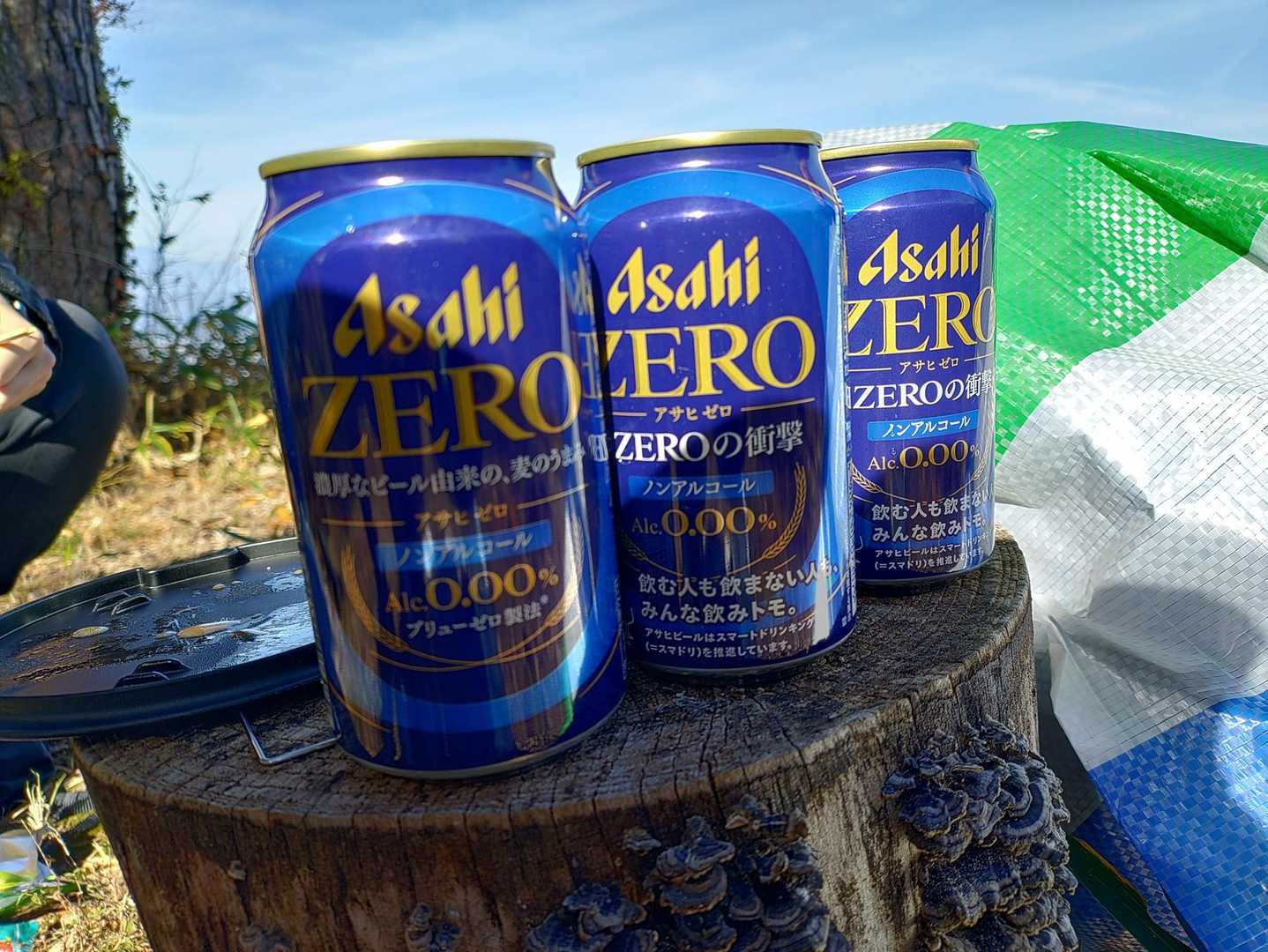 長野市里山(城ノ峰→若穂太郎山)【日帰り】2025/11/08 / まきさんの妙徳山・若穂太郎山・大洞山の活動データ | YAMAP / ヤマップ