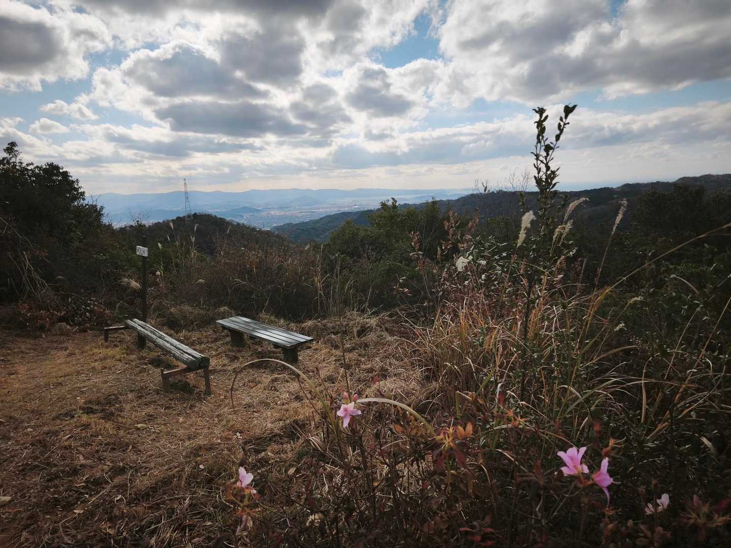 本年最後のリハビリ山歩-2025-12-27 / しばっぷさんの紀泉アルプス・飯盛山・ボンデン山の活動データ | YAMAP / ヤマップ