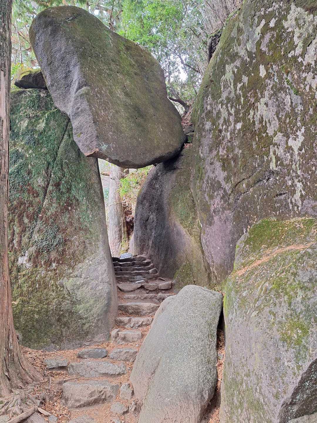 筑波山（女体山） / まっくろくろすけさんの筑波山の活動データ | YAMAP / ヤマップ