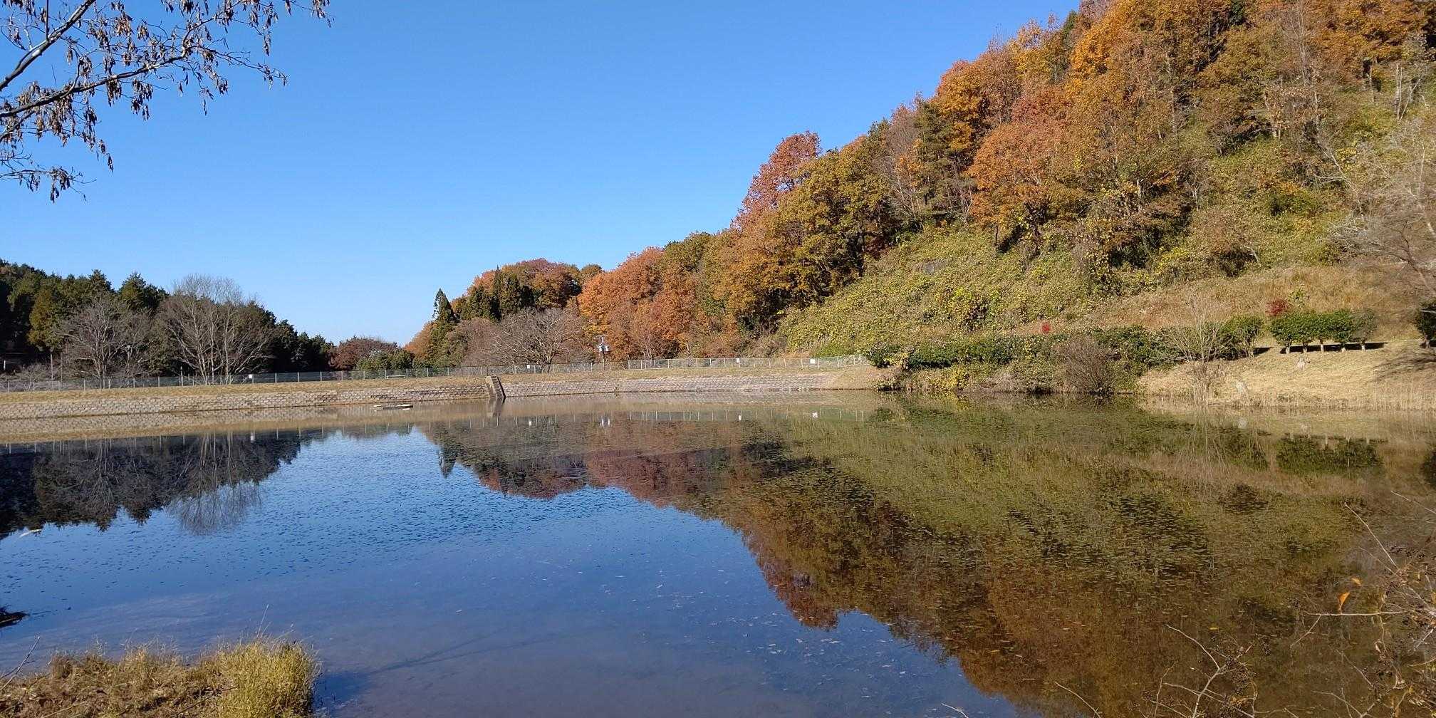 御嵩の森-2025-11-29 / ウグイスさんの浅間山（美濃富士）の活動データ | YAMAP / ヤマップ