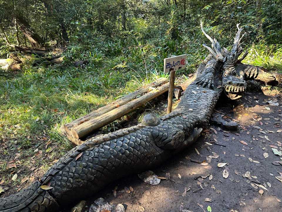 rhodesian monster dingonek