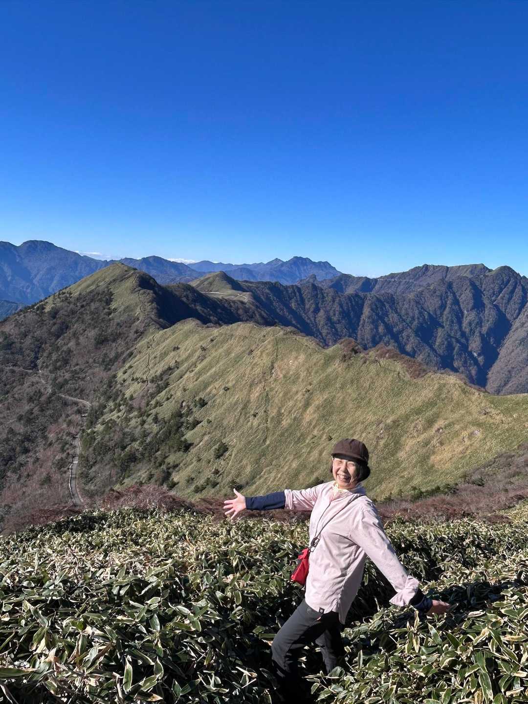 晴天！💙伊予富士・寒風山 / Yukakoさんの笹ヶ峰・寒風山・平家平の活動データ | YAMAP / ヤマップ