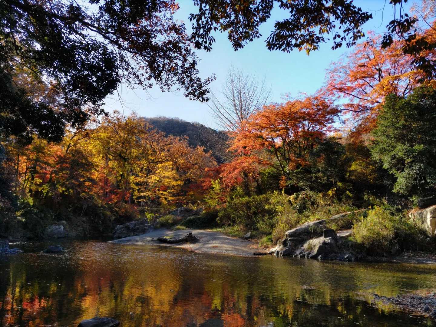 大平山と嵐山渓谷 / KORDERさんの武蔵嵐山・大平山・仙元山の活動データ | YAMAP / ヤマップ