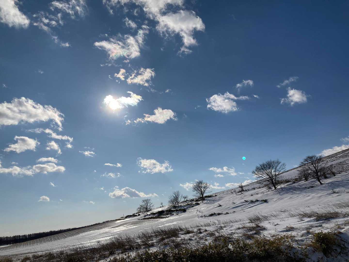 モアン山 / 瑞恵さんの養老牛岳の活動データ | YAMAP / ヤマップ