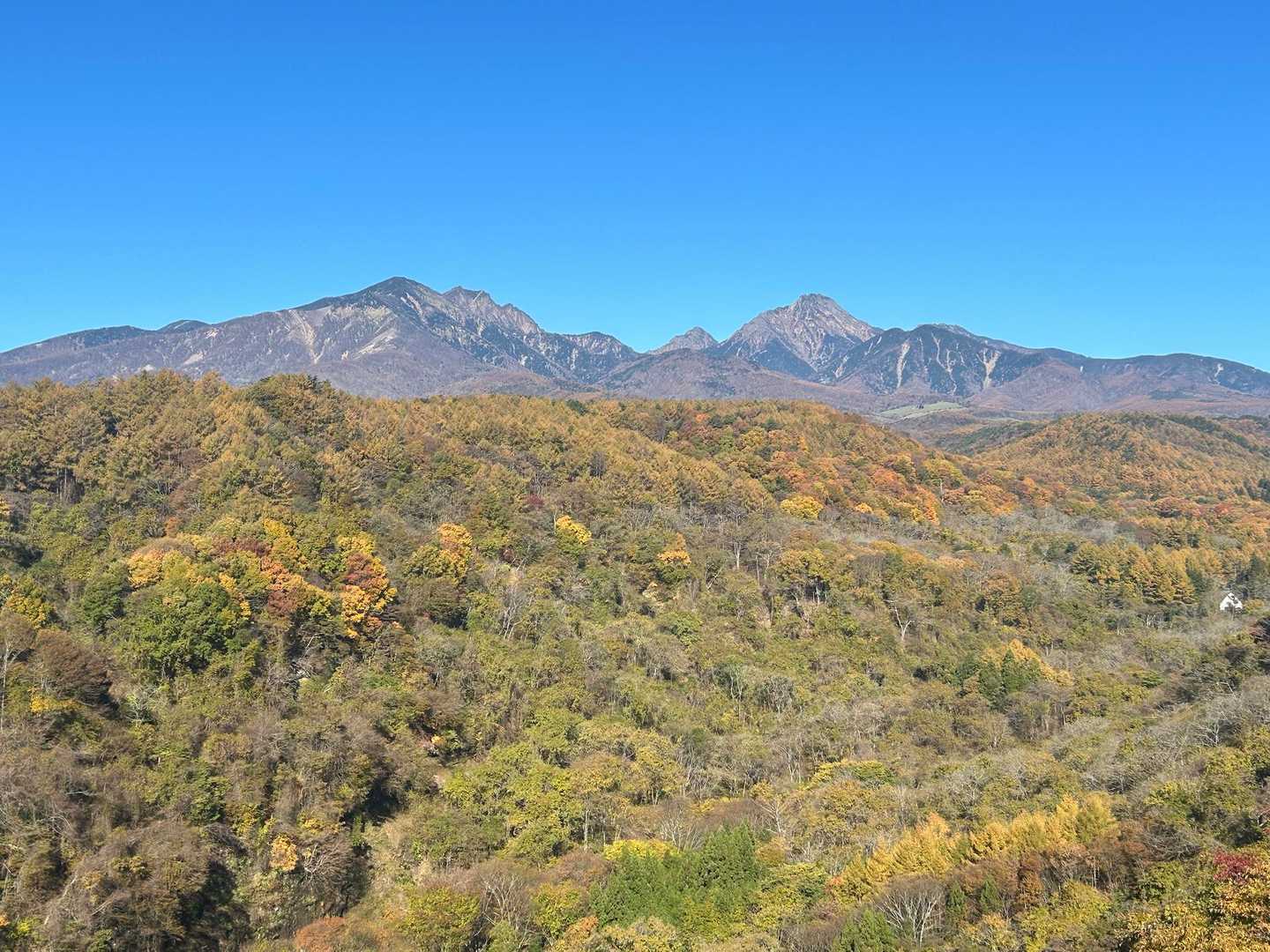 横尾山で眺望を楽しむ / よっさんの飯盛山の活動データ | YAMAP / ヤマップ