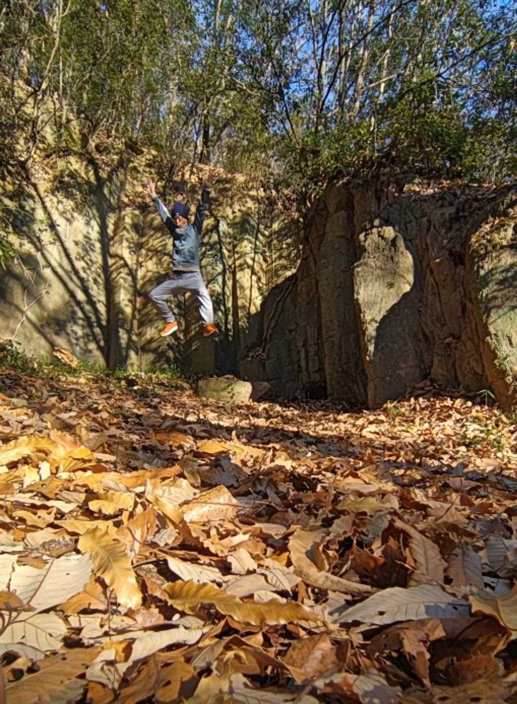 ちょっと遠回りで由良山のぼるゆる登山2026-01-10 / ジャパンBKBさんの上佐山・日山・由良山の活動データ | YAMAP / ヤマップ