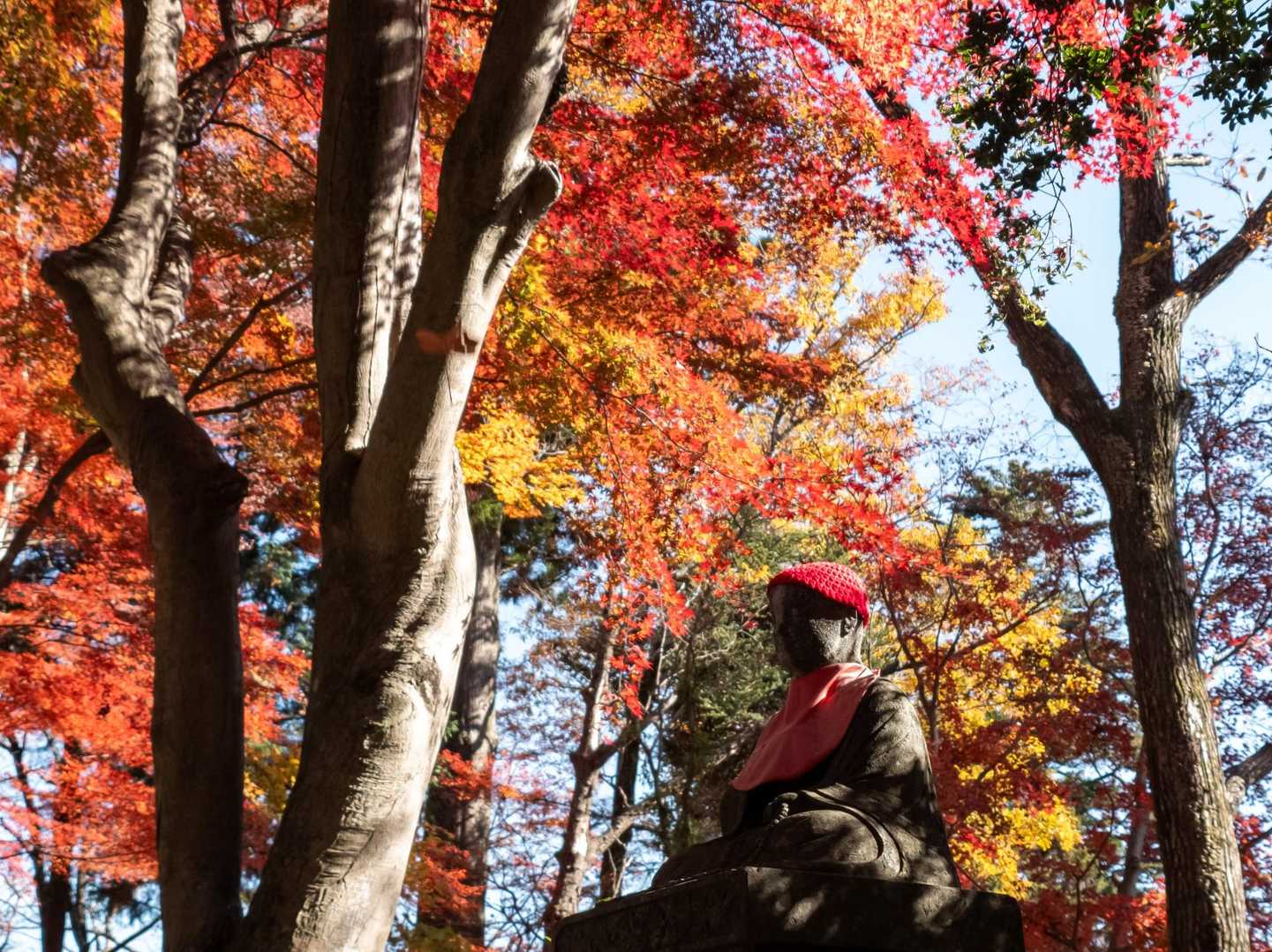 高尾 仏舎利塔周辺が紅葉ピーク / いわひろさんの高尾山・陣馬山・景信山の活動データ | YAMAP / ヤマップ