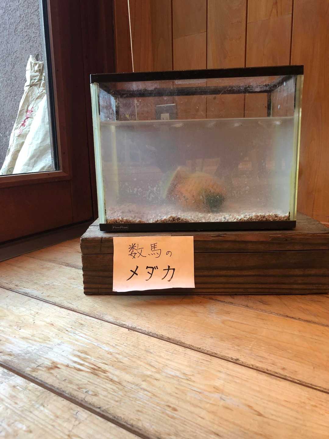 コロッケ狂い〜陣馬山・醍醐丸・三国山・熊倉山・土俵岳・丸山・大羽根山 / えまさんの大岳山・御岳山・御前山の活動データ | YAMAP / ヤマップ