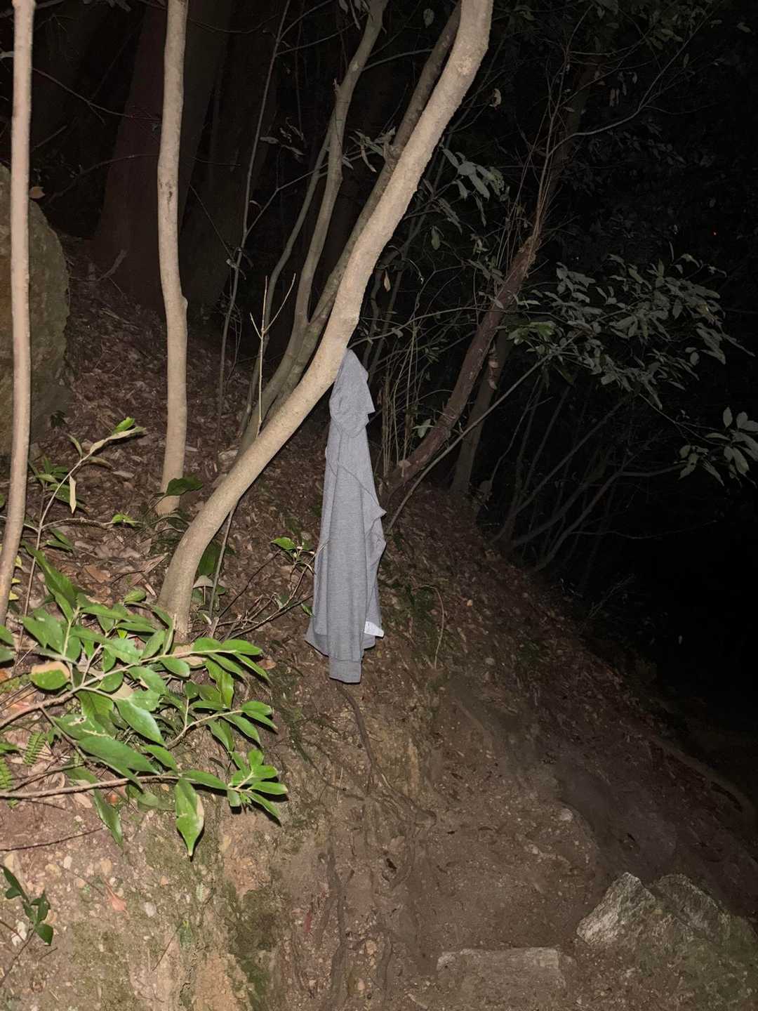 金華山 / RIKUさんの金華山・洞山・舟伏山の活動データ | YAMAP / ヤマップ