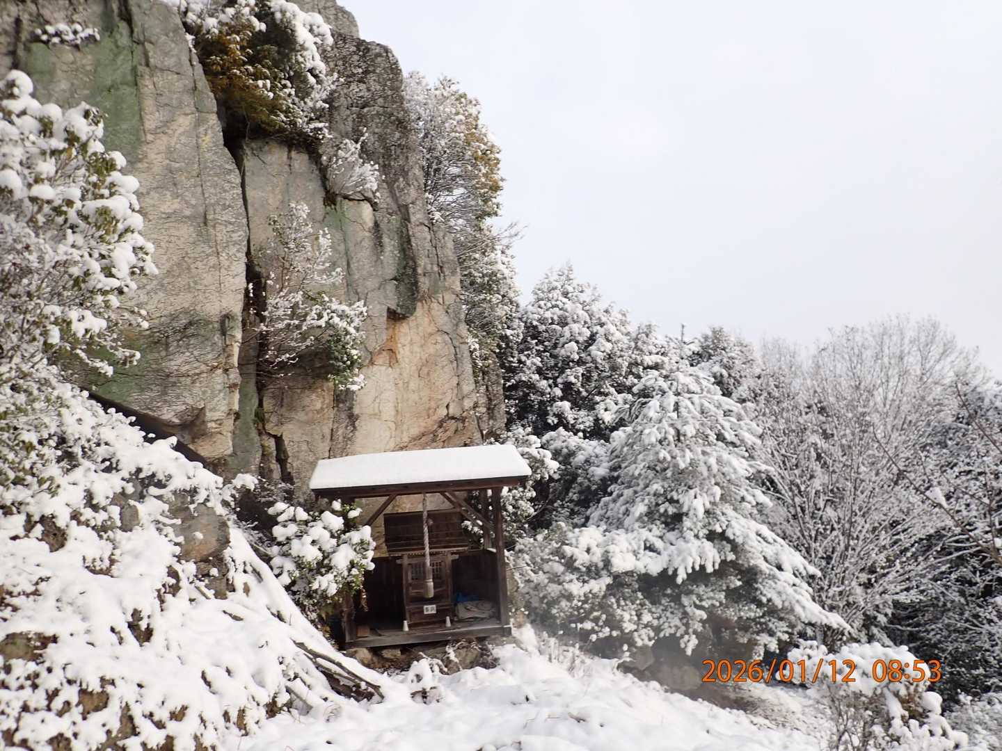 岩倉山 / かじさんの五台山・親不知・城山（猪ノ口山）の活動データ | YAMAP / ヤマップ