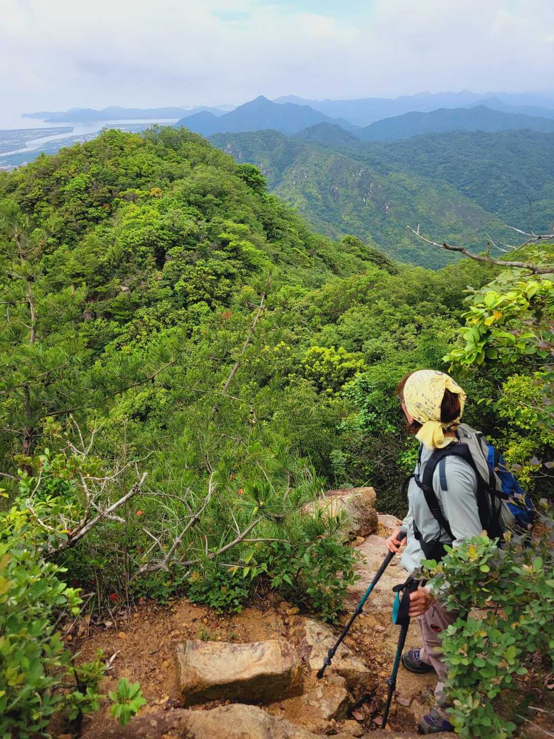 石船山・右田ヶ岳西峰・右田ヶ岳へ / shigeyoさんの右田ヶ岳・西目山・楞厳寺山の活動データ | YAMAP / ヤマップ