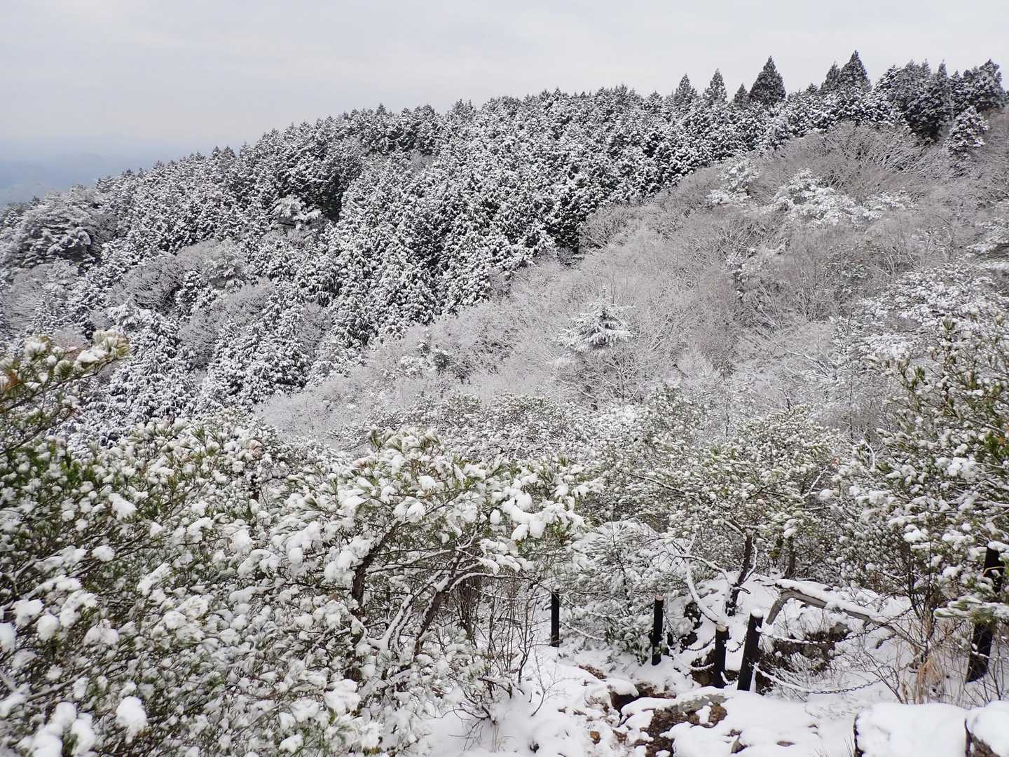 今年も標高777mの頂へ🎰 / こんさんの天神山の活動データ | YAMAP / ヤマップ