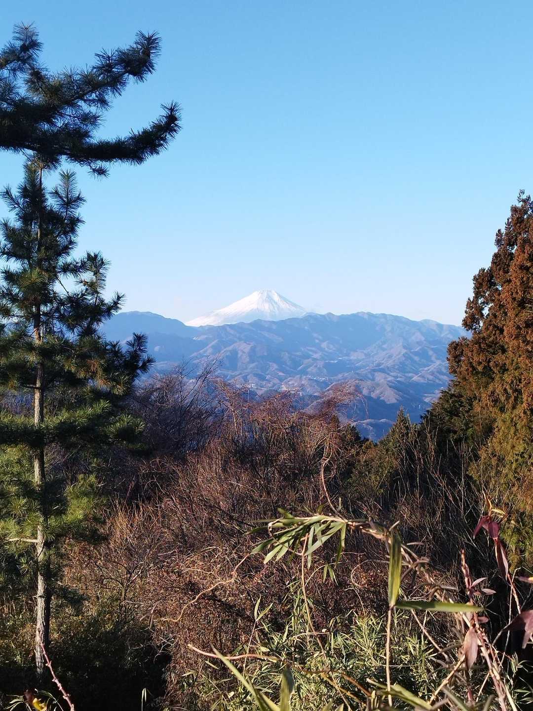 城山（小仏城山） / horitakaさんの高尾山・陣馬山・景信山の活動データ | YAMAP / ヤマップ