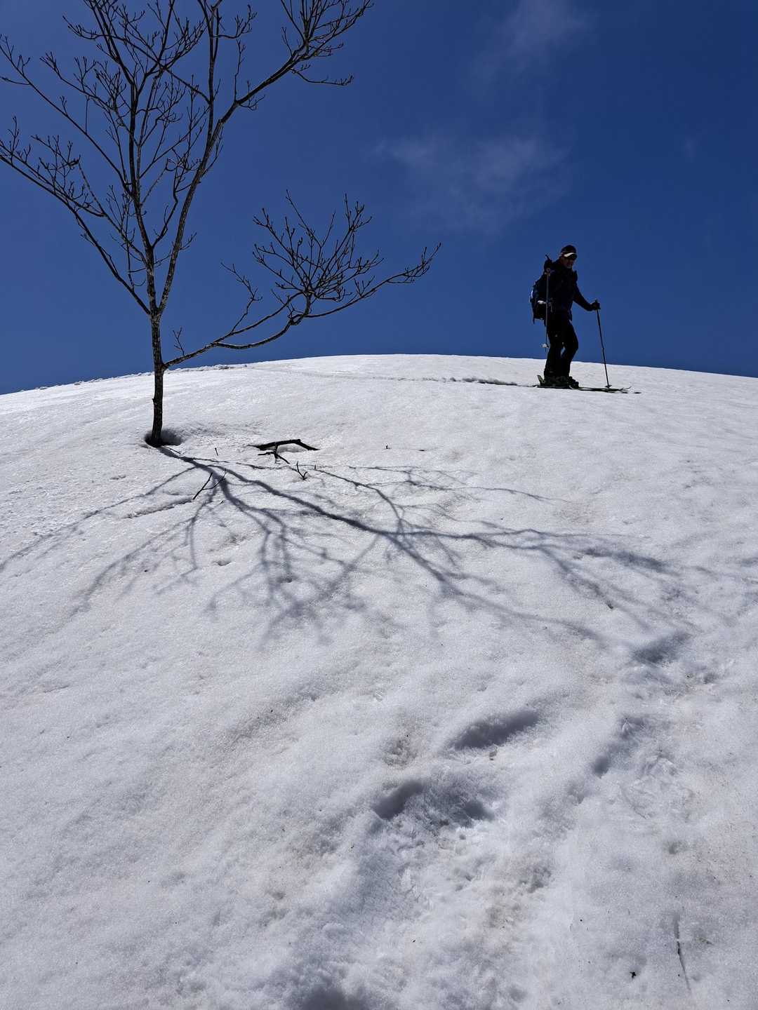 なんとか間に合いました 雪の天蓋山🏔️ / 剱爺さんの天蓋山・大鼠山の活動データ | YAMAP / ヤマップ