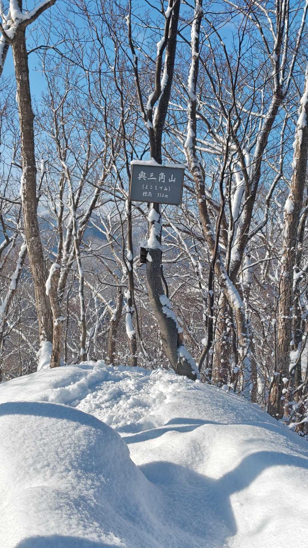 登り納めはおひさま🌞の勝ちでした☺️ / SAORIさんの三角山・大倉山・円山の活動データ | YAMAP / ヤマップ