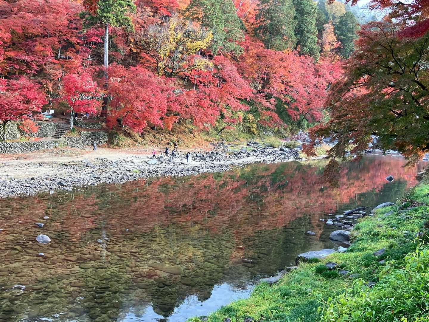香嵐渓🍁-2025-11-25 / れえちゃんさんの黍生・飯盛山・真弓山の活動データ | YAMAP / ヤマップ