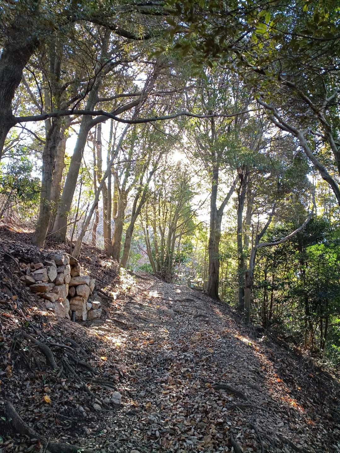 羽角山 / しおしおさんの茶臼山・万灯山の活動データ | YAMAP / ヤマップ