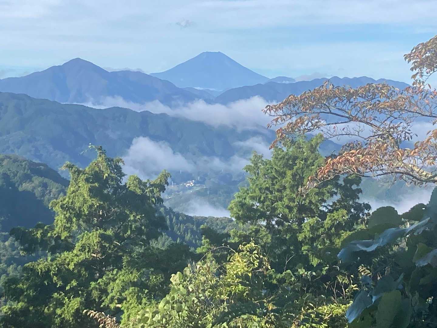 高尾山 / らぱさんのウォーキングの活動データ | YAMAP / ヤマップ