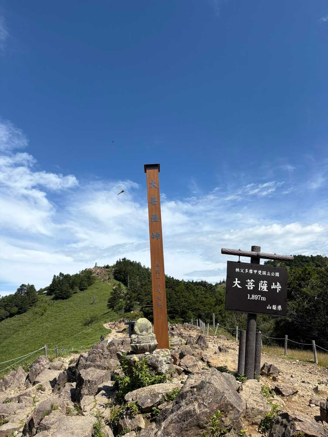 大菩薩峠-2025-08-06 / 風也さんのウォーキングの活動データ | YAMAP / ヤマップ