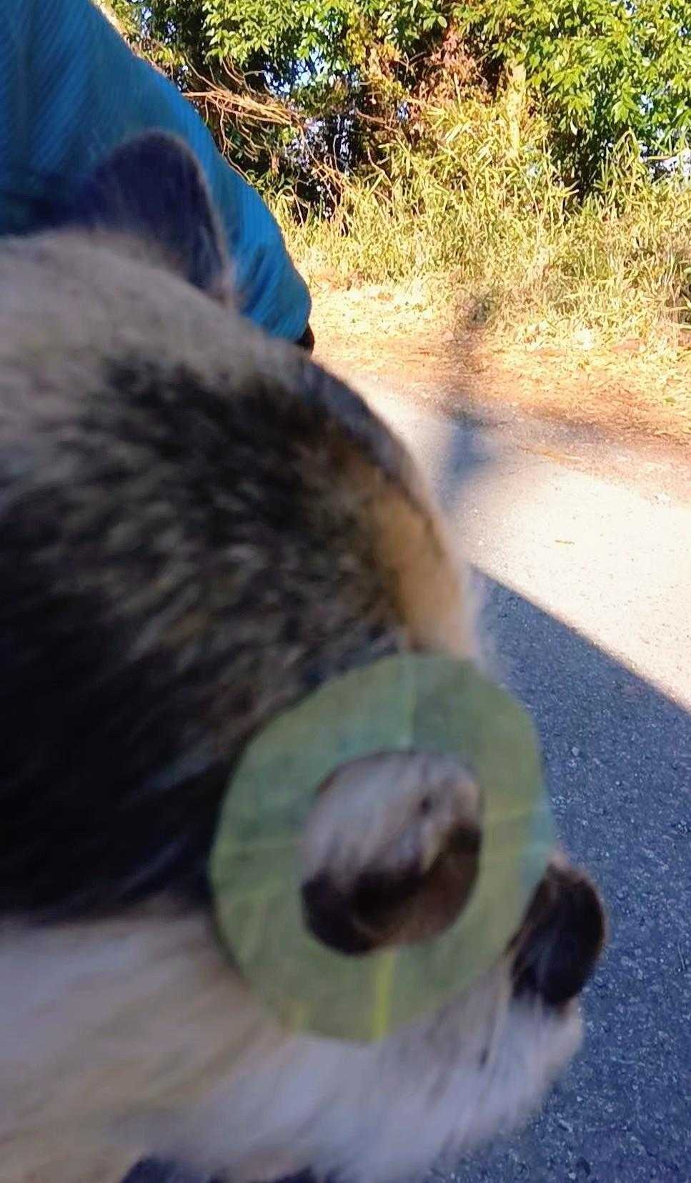 羽黒山 / Hiroさんの羽黒山の活動データ | YAMAP / ヤマップ