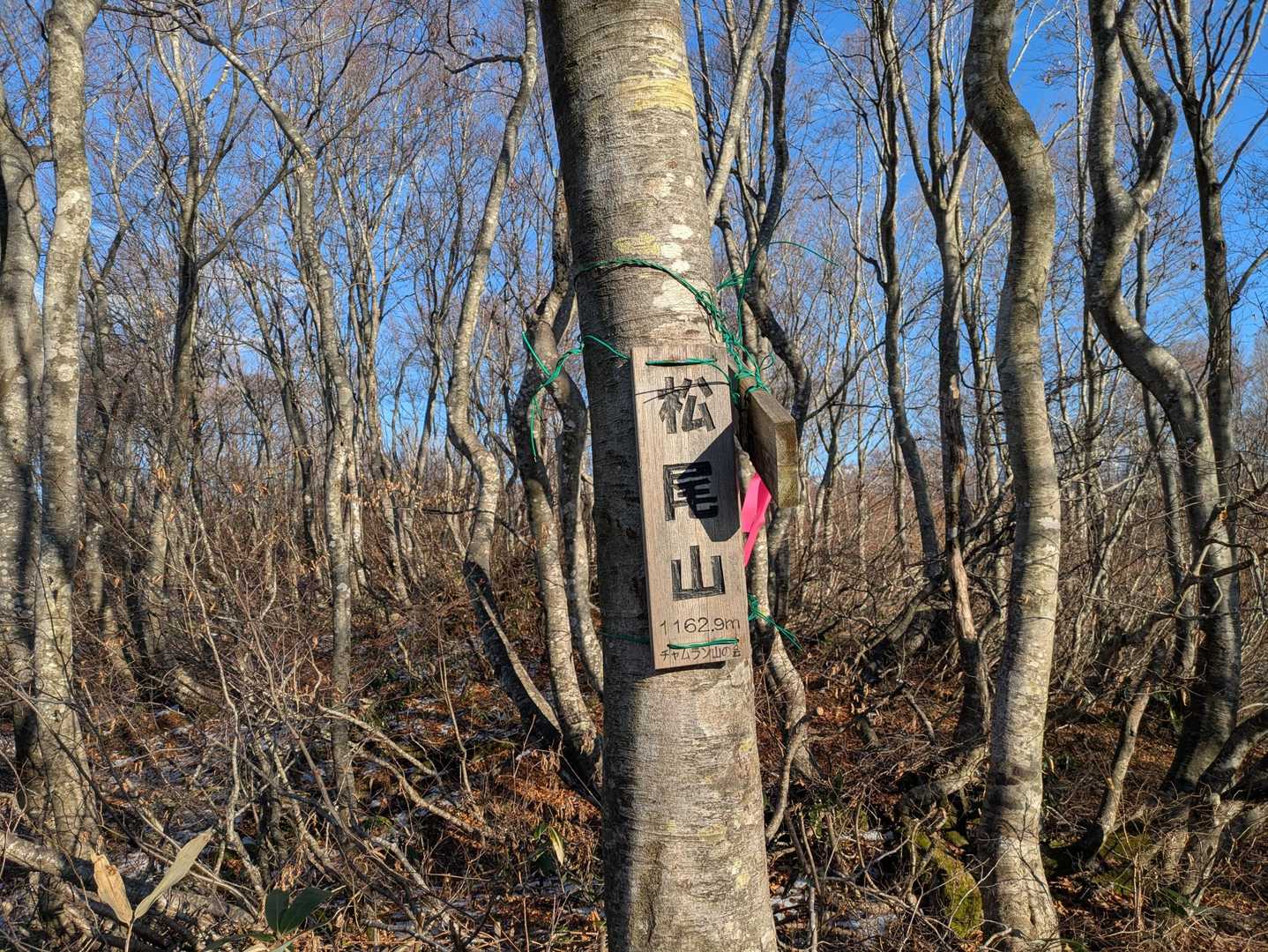 松尾山 / daigoさんの大恐山・笈山・鉢伏山の活動データ | YAMAP / ヤマップ