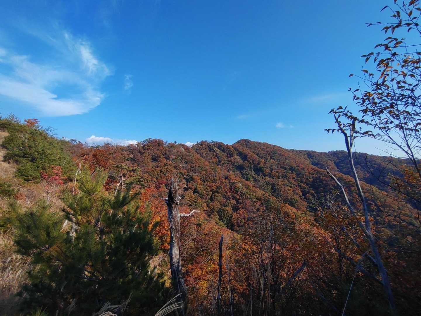 仙人ヶ岳周回 / brassicaさんの鳴神山・吾妻山の活動データ | YAMAP / ヤマップ