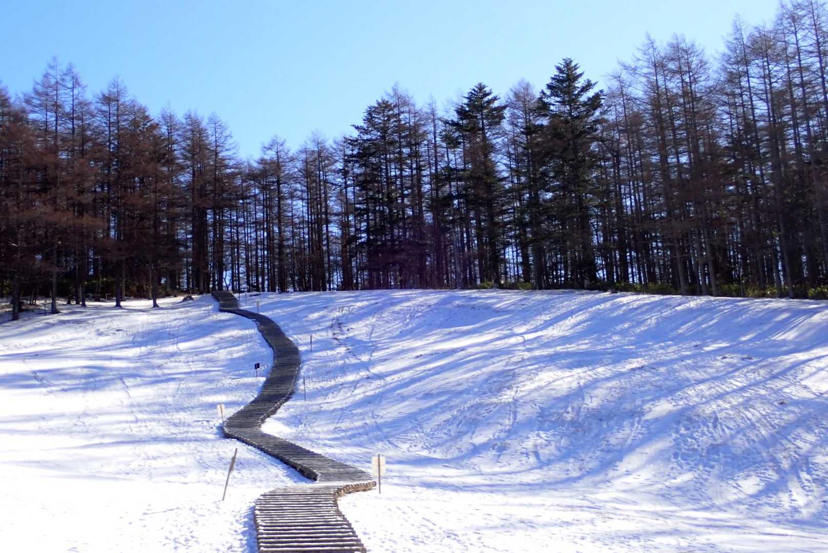 リハビリウォーキング@入笠湿原 / わんさんの入笠山の活動データ | YAMAP / ヤマップ